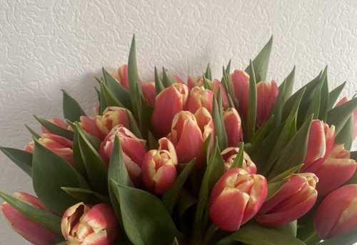 Тюльпаны в розницу и оптом полметровые и не только