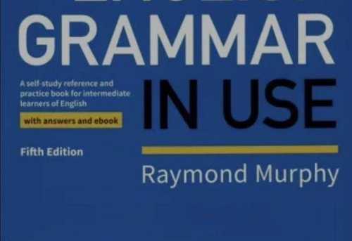 English grammar in use Raymond Murphy