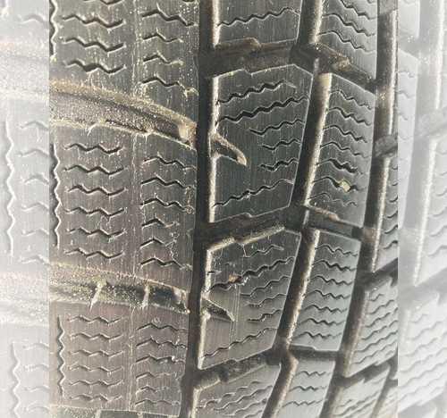 Dunlop All Season Maxx AS1 165/70 R14
