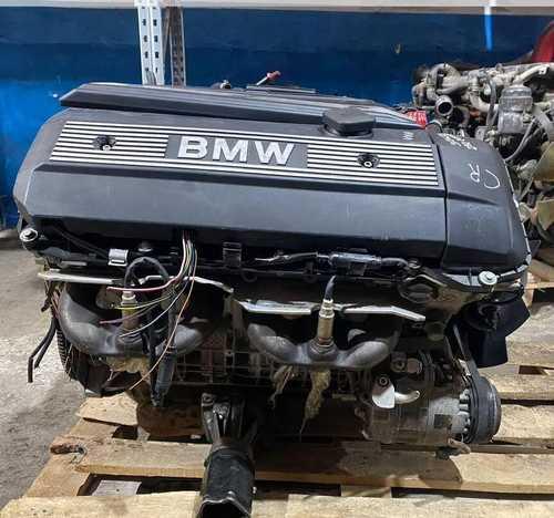 Двигатель M54B30 3.0i 306S3 BMW E53 E83 E60