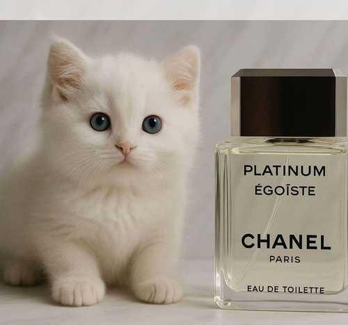 Chanel Egoiste platinum туалетная вода для мужчин
