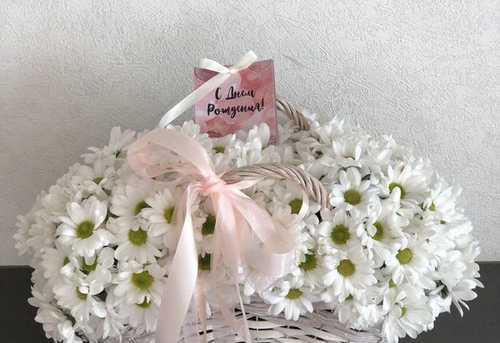 Хризантема ромашки цветы букеты доставка