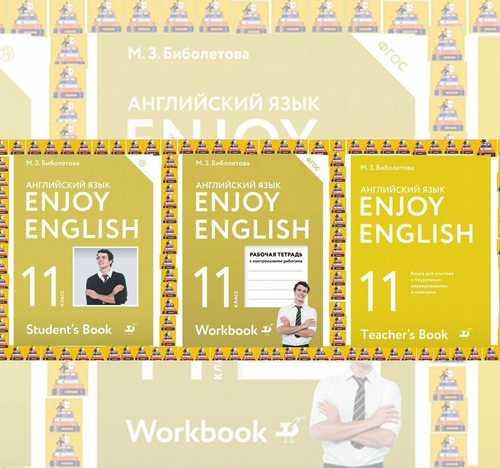 Enjoy English 11 класс Биболетова