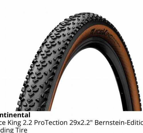 Continental Race King BlackChili 29*2.20 Berstein