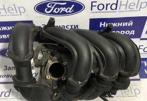 Впускной коллектор Форд Фокус 2 1.4-1.6 бу