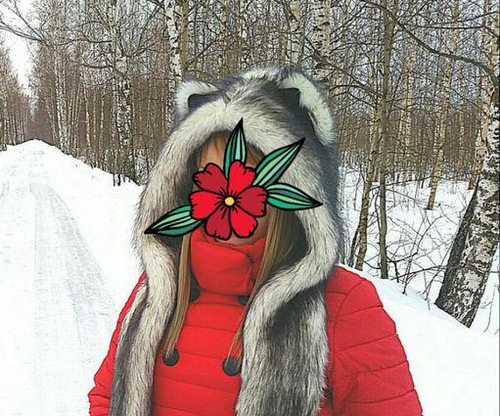 Волкошапка