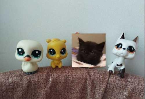 Littlest pet shop lps