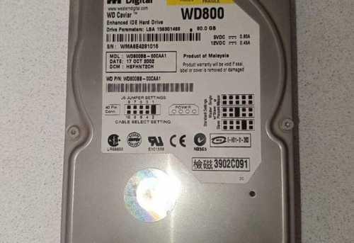 Жёсткий диск Western Digital WD800 на 80GB