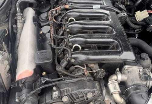 Двигатель M57 3.0 BMW E46