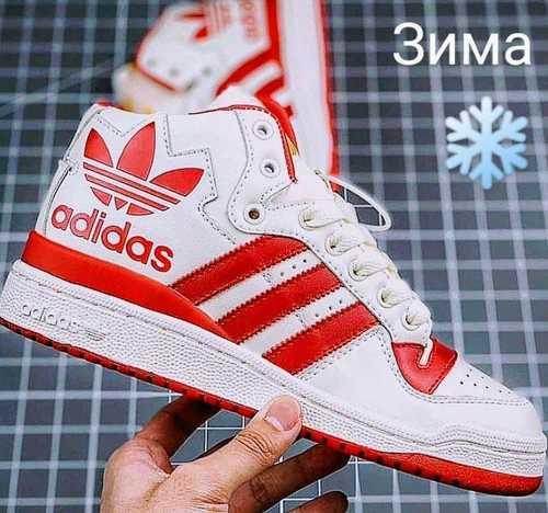 Кроссовки Зимние Adidas Forum из Натуральной Кожи