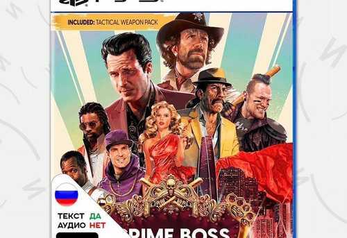 Crime Boss: Rocaky City (Б/У) PS5, русские субтитр
