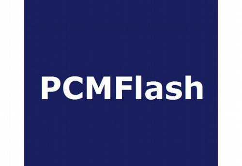 PCM Flasher Модуль 21 Ford USA