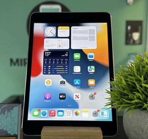 iPad mini 4 64gb