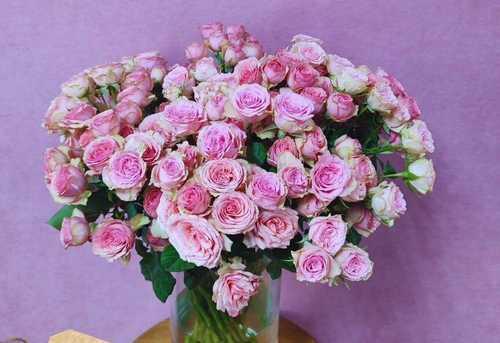 Букет кустовых пионовидных роз Налани 27 шт