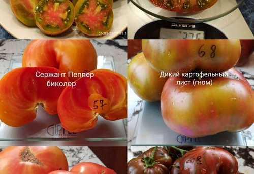 Семена томатов биколоров