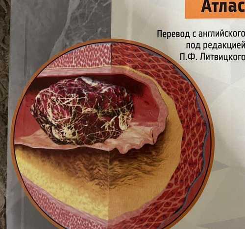 Клиническая патофизиология атлас