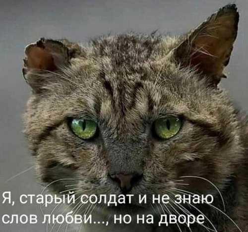 Плата велосипедная