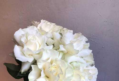 Белые французские розы
