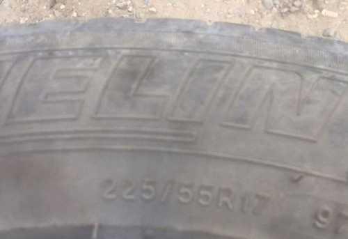 Michelin Maxi Ice 2 225/55 R17