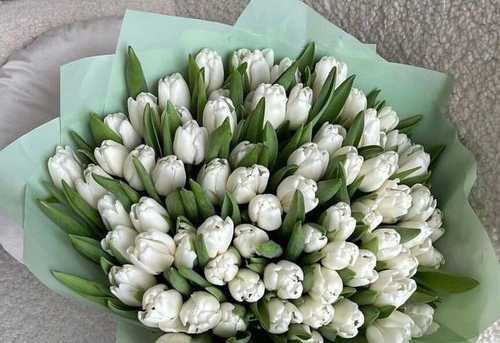 Тюльпаны. Белые тюльпаны