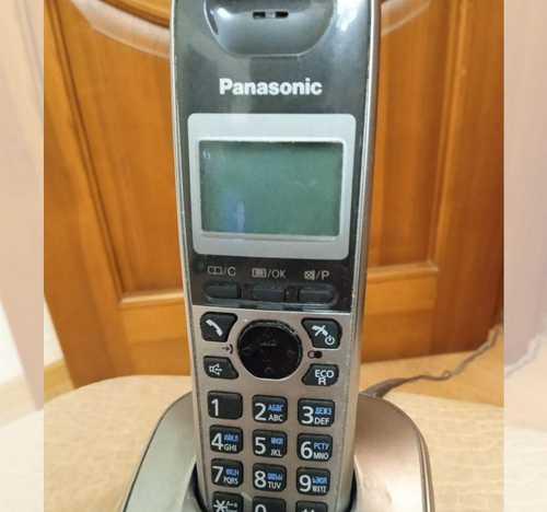 Panasonic