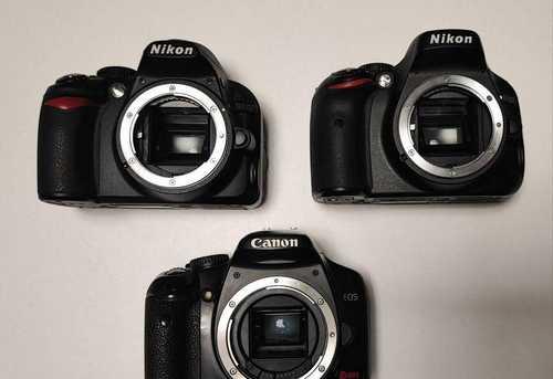 Лот 3 камеры nikon D5100,D3100 и Canon 450D