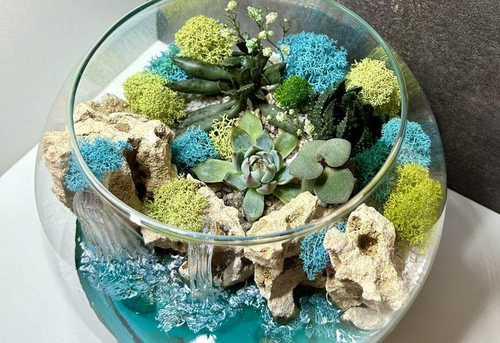 Флорариум "Голубая лагуна" - подарок, цветы