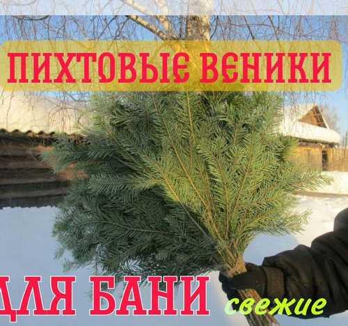 Пихтовые веники для бани