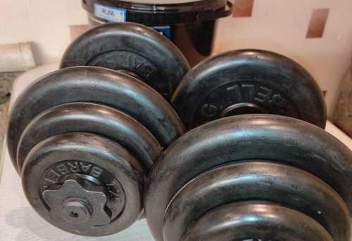 Гантели MB barbell 36 кг (2*18)