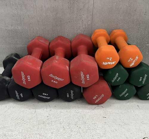 Гантели bodygym