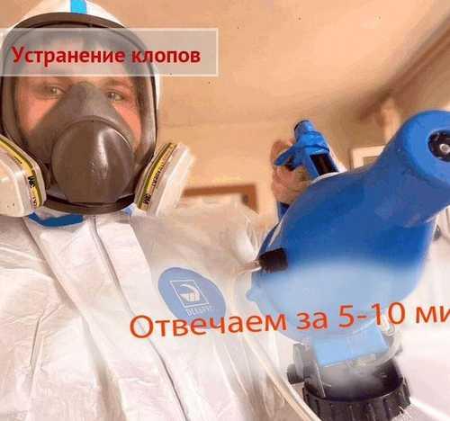 Средство против тараканов клопов крыс