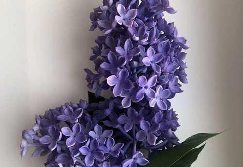 Сирень искусственные цветы, 72 см, шт