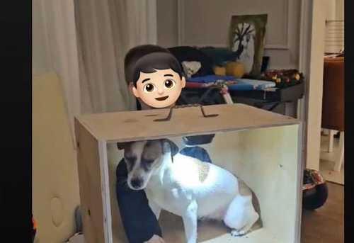 Ящики для игры «Кажется нащупал»