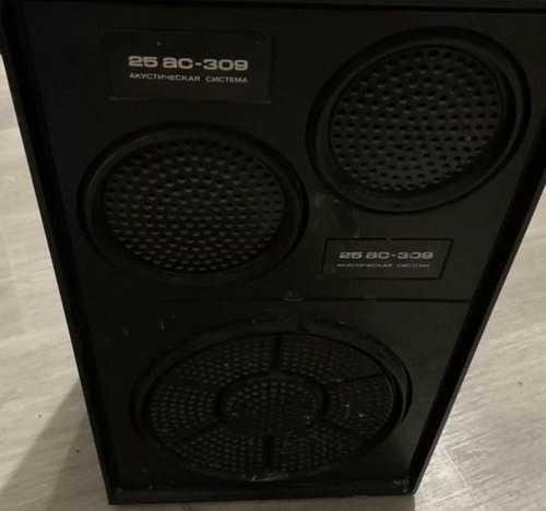 Акустическая система 25 ac-309