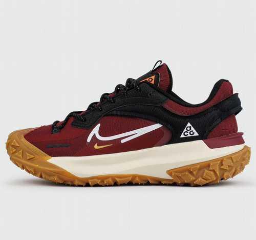 Nike ACG Mountain Fly 2 Low Gtx Red