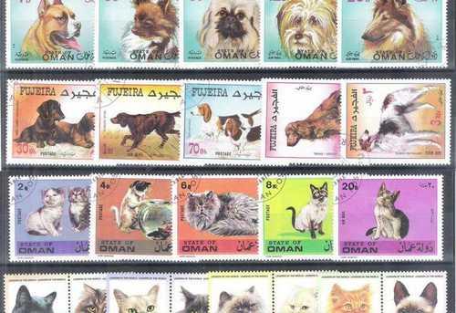 А048 Кошки и собаки на марках