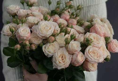 Пионовидные розы, кустовой сорт, букет роз