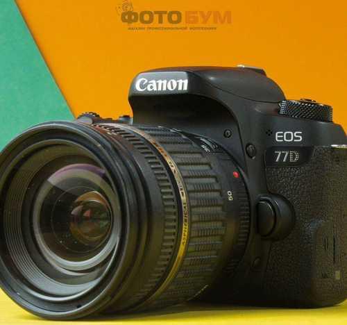 Canon 77D body + Tamron 17-50mm f2.8 Di II