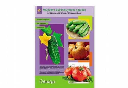 Дидактическое пособие пд-1257 Овощи