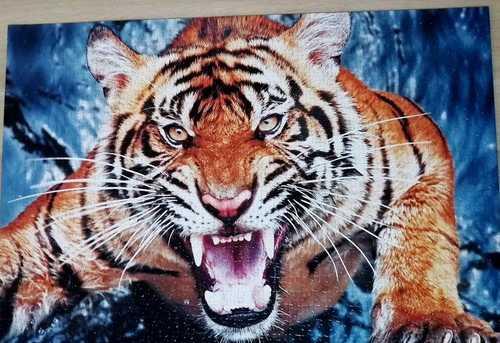 Пазл тигр 1000 кусков
