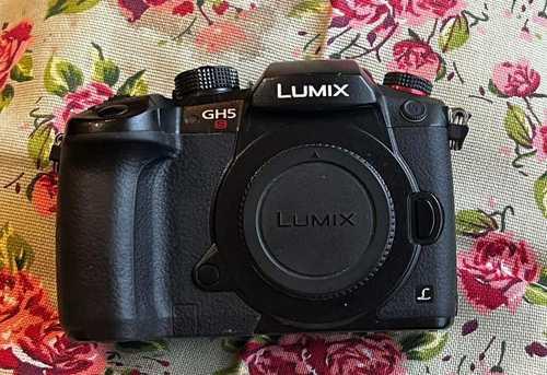 Panasonic GH5s Body + V-Log