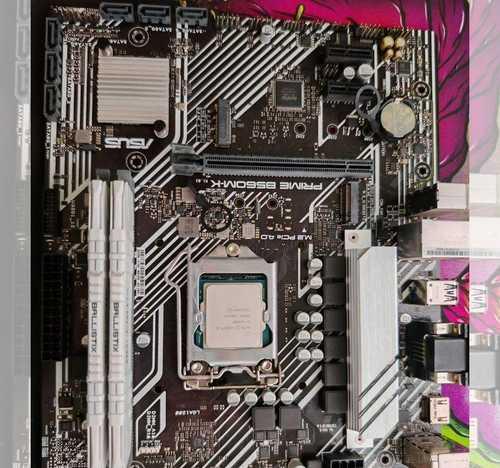 I5 11400f / Asus Prime B560M-K / Ballistix 16gb