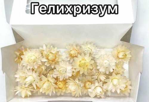 Сухоцветы Гелихризум (Бессмертник), белый 30 шт