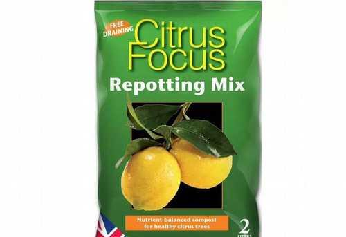 Грунт для цитрусовых Citrus Focus Repotting Mix 2