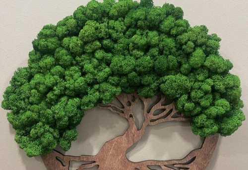 Дерево жизни Фитодекор панно