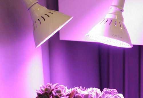 Лампа для растений и рассады LED 126светодиодов