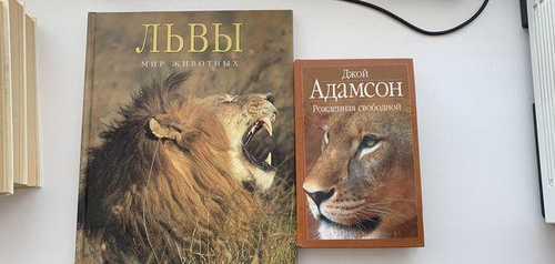 Книги о львах