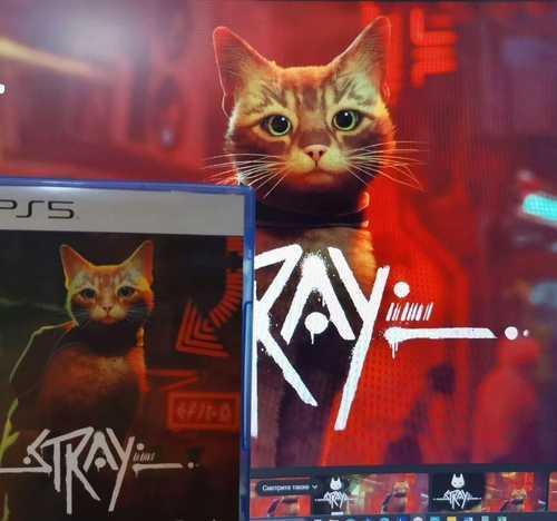 Stray игра на Ps5