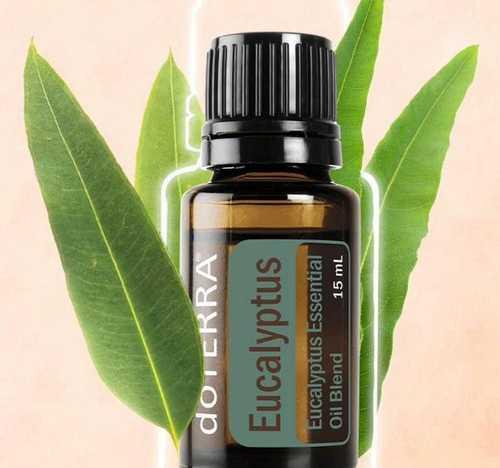 Эвкалипт / Eucalyptus Blend 15 мл / DoTerra/ Эфирн