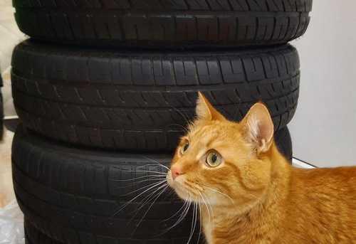 Sava Perfecta 165/65 R14